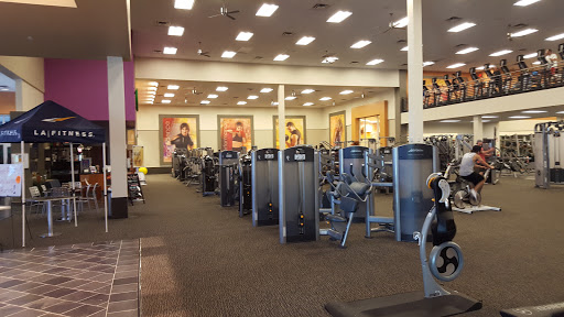 Elite bodybuilding gyms at BestGymLoc